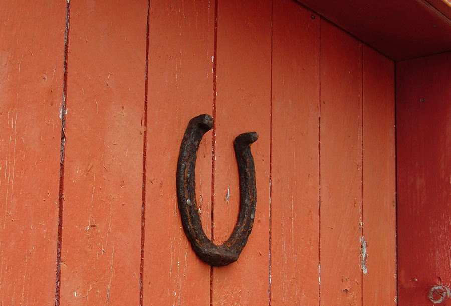 How to bring good luck and prosperity into your home How to bring good luck and prosperity into your home