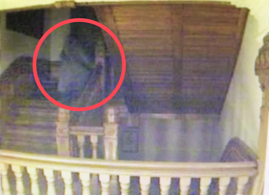 Smelling the Ghosts at the Willard Public Library: A True Story